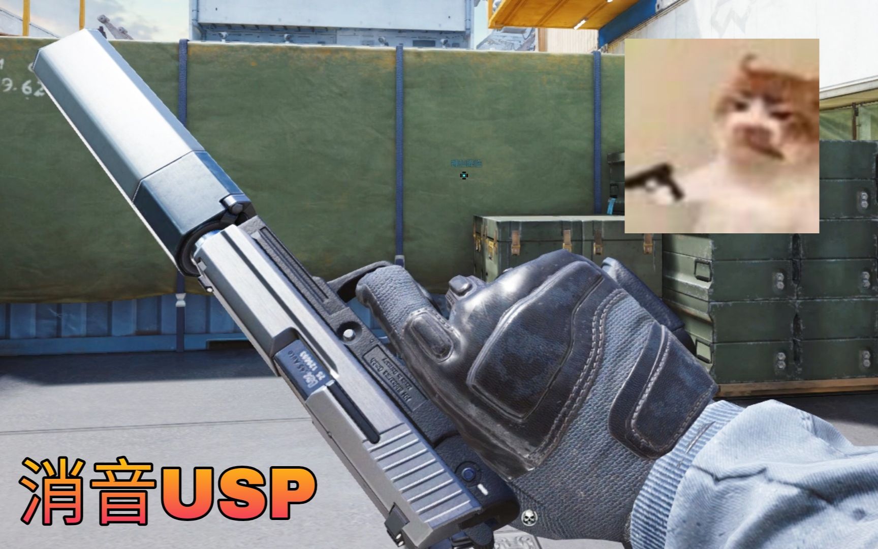 CFHD万恶之源USP上线！COP还会远吗？一枪不能爆头，靠手速打出高伤害！_穿越火线_游戏集锦