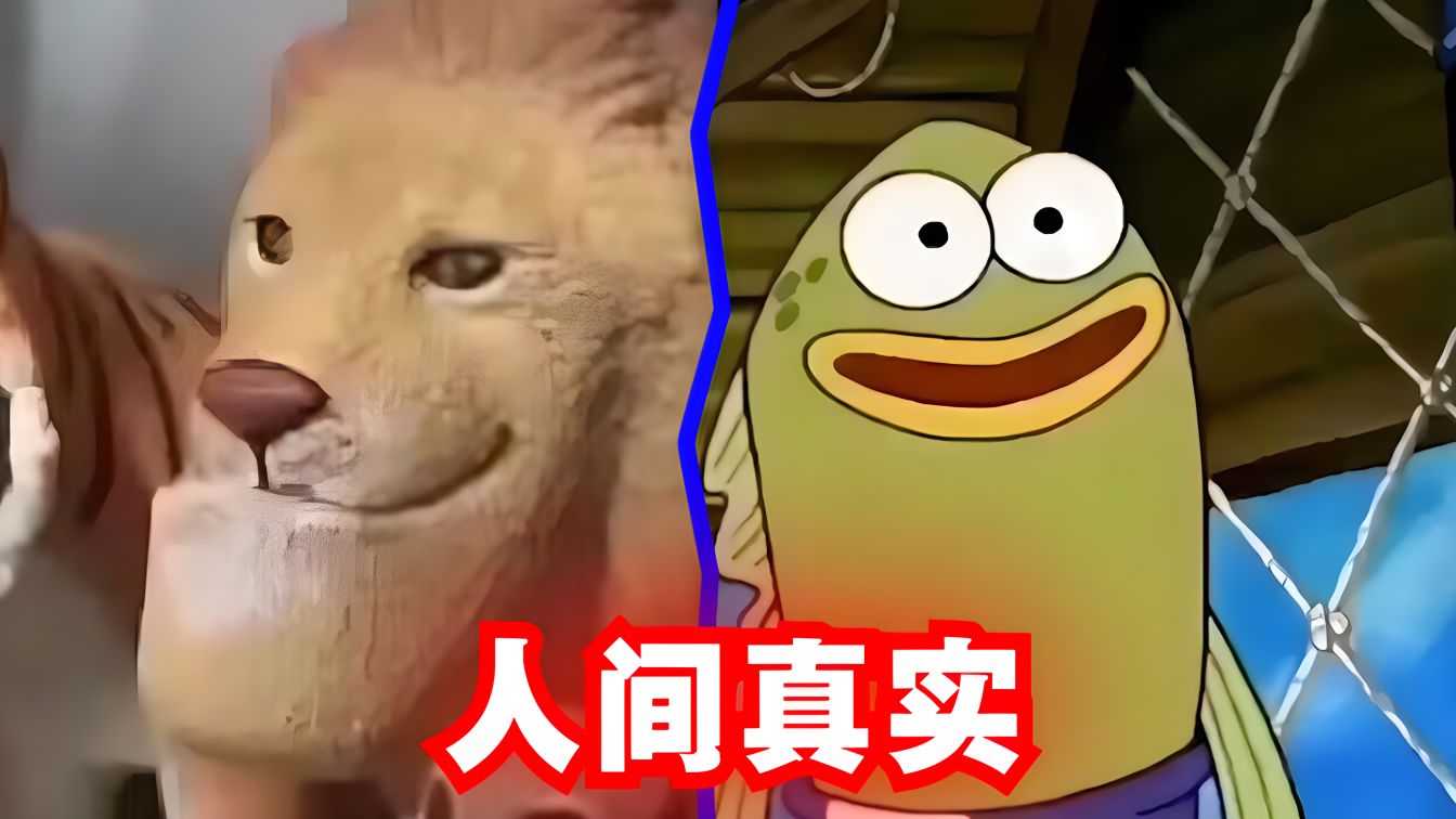 爆笑解说：这些事简直不要太真实！ 多巴安工作室 多巴安工作室 哔哩哔哩视频