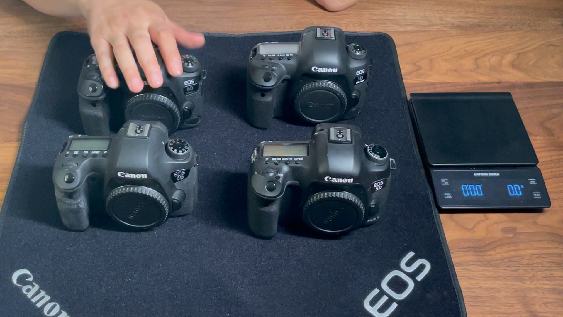 坐等佳能R3，佳能5D4，5D3，6D2，6D小评测_哔哩哔哩_bilibili