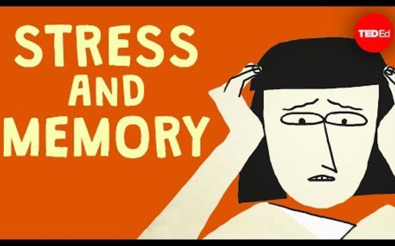 【Ted-ED】压力如何影响记忆力 Does Stress Affect Your Memory_哔哩哔哩_bilibili