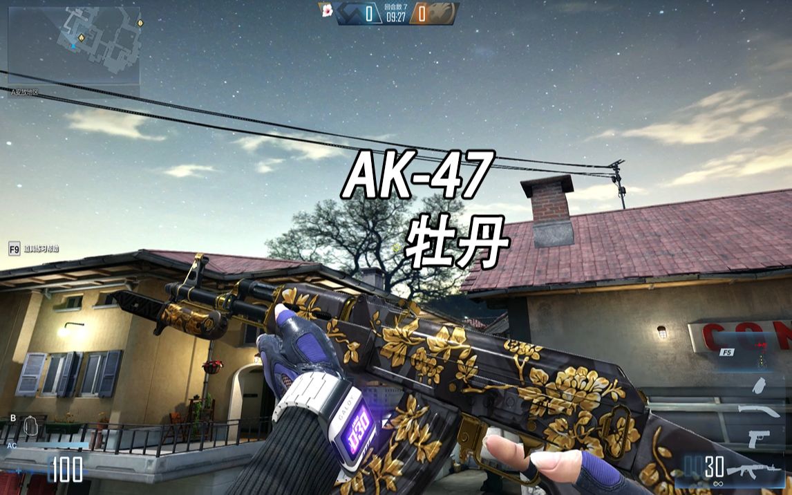 CFHD：高清牡丹皮肤"AK-47"百花从中最鲜艳_穿越火线