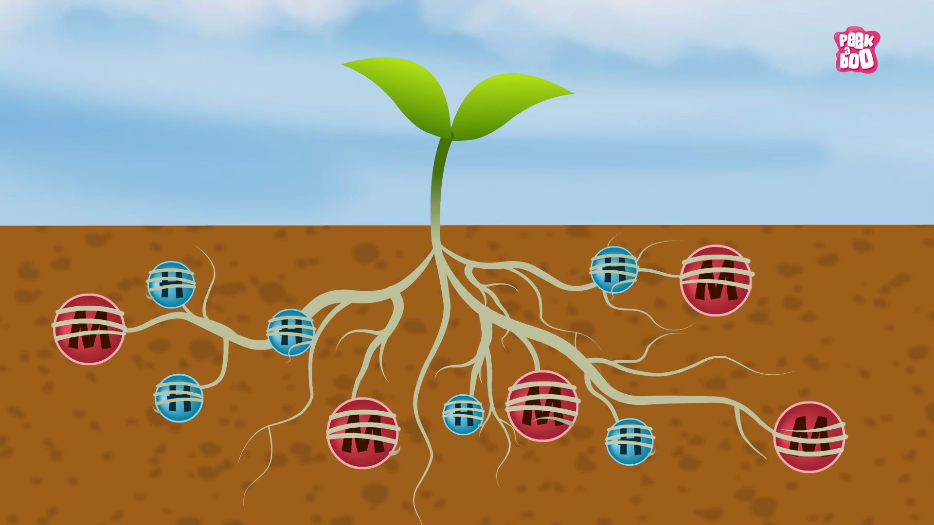 Layers Of Soil - The Dr. Binocs Show _ Best Learning Videos For Kid_哔哩哔 ...