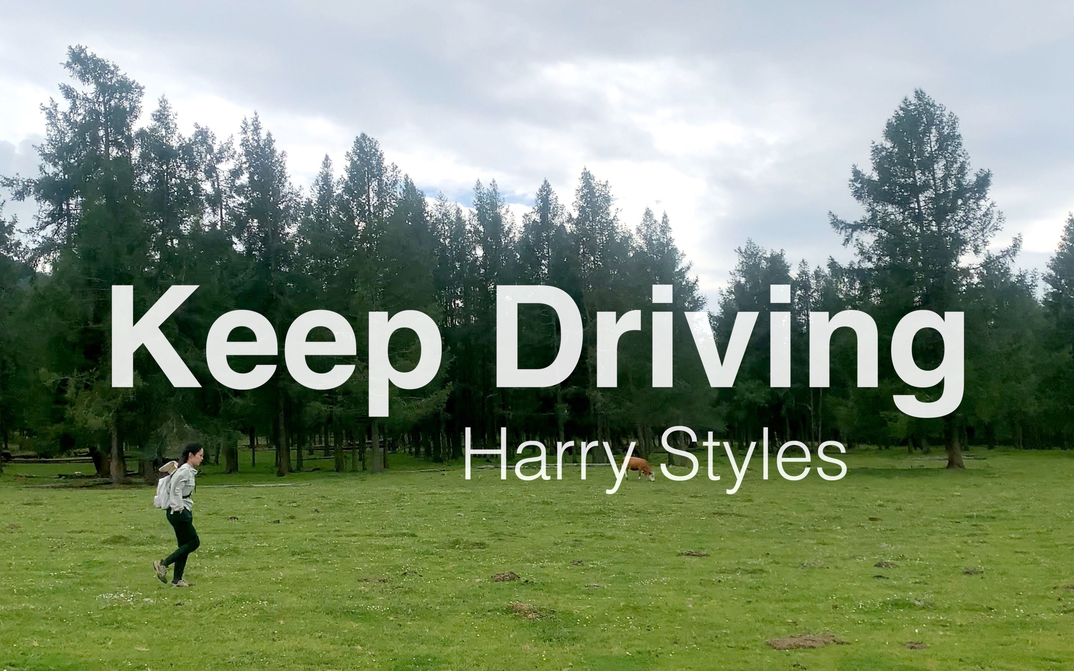 喀纳斯的一次徒步 以及弹唱Harry Styles《Keep Driving》吉他翻唱-南音吉他小屋-南音吉他小屋-哔哩哔哩视频