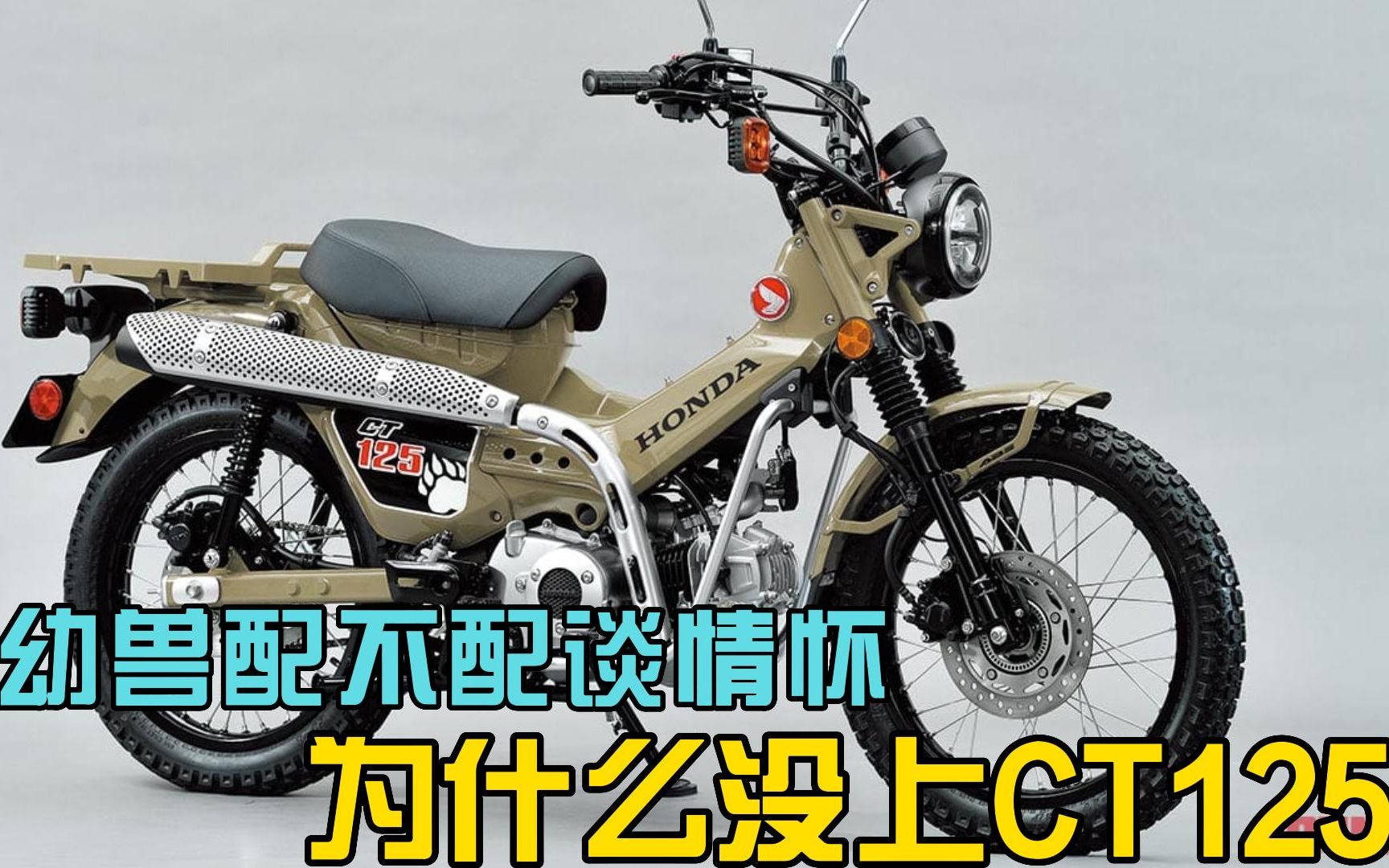 本田幼兽CC110全面测评