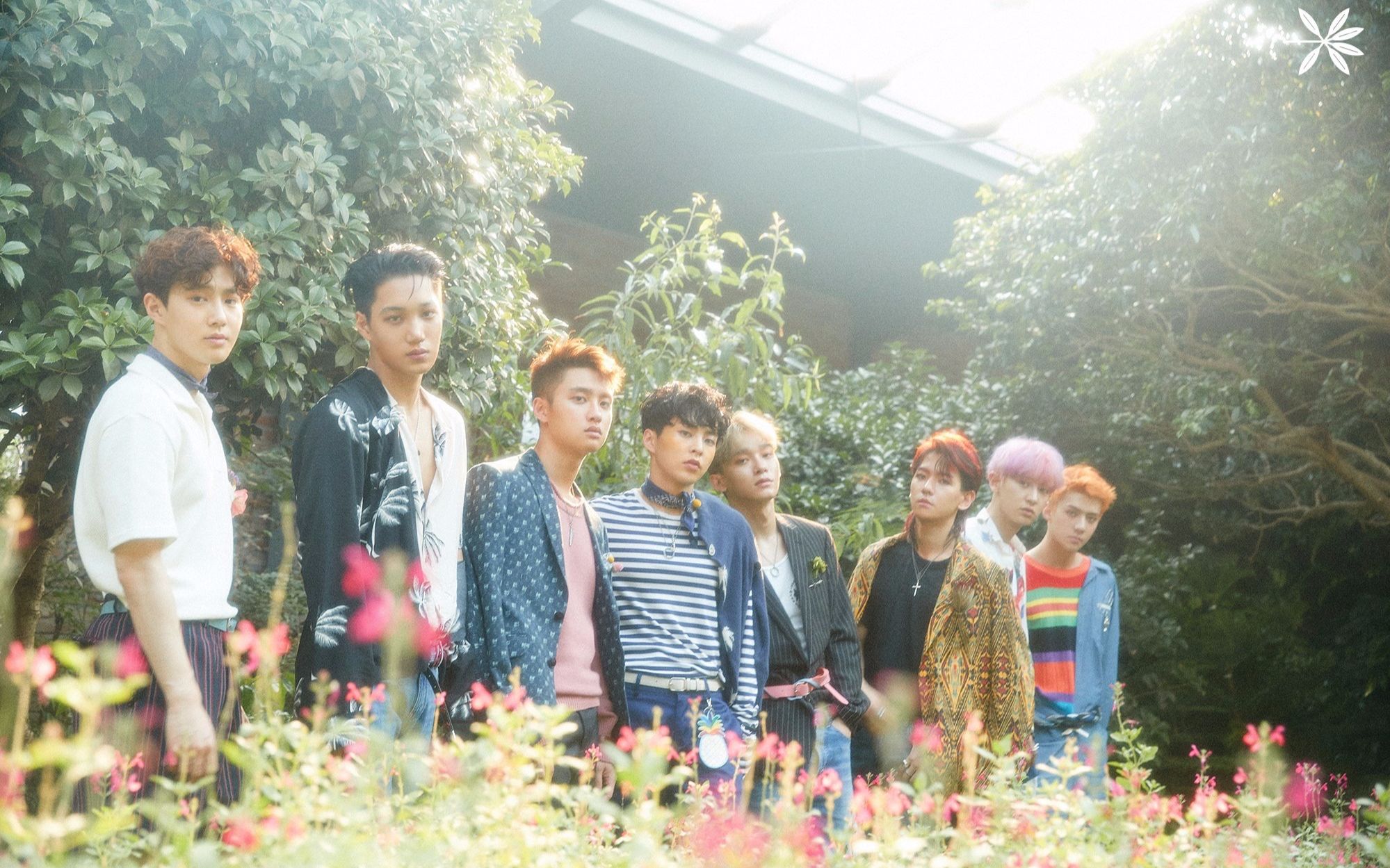 exo电脑壁纸超清-千图网