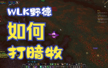 WLK野德PVP-对战暗牧篇_网络游戏热门视频