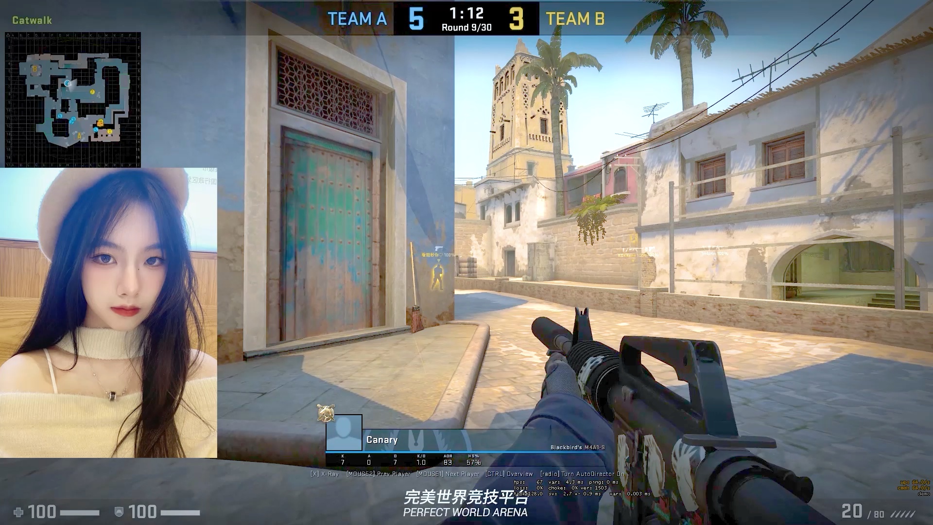 沙 鹰 高 手 长 这 样_哔哩哔哩_bilibili