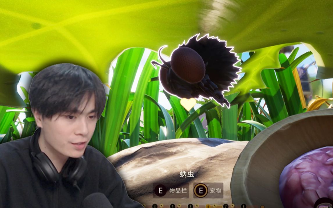 昆 虫 之 友-与山0v0-与山0v0-哔哩哔哩视频