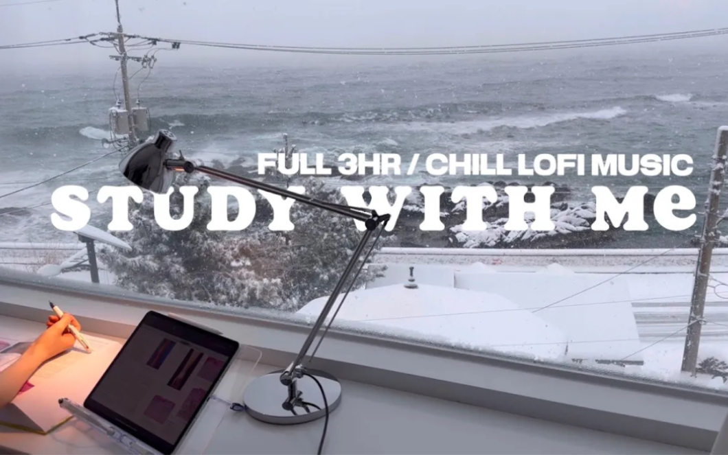 STUDY WITH ME｜Eucalyptus｜在飘着大雪的海边学习3小时学习⛄️3HR STUDY WITH ME lofi playlist-GrangeriPink ...
