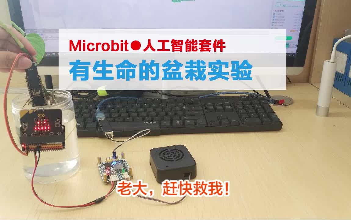 用Microbit制作一个有生命的智能盆栽，一旦水位下降，就会语音求救_哔哩哔哩_bilibili