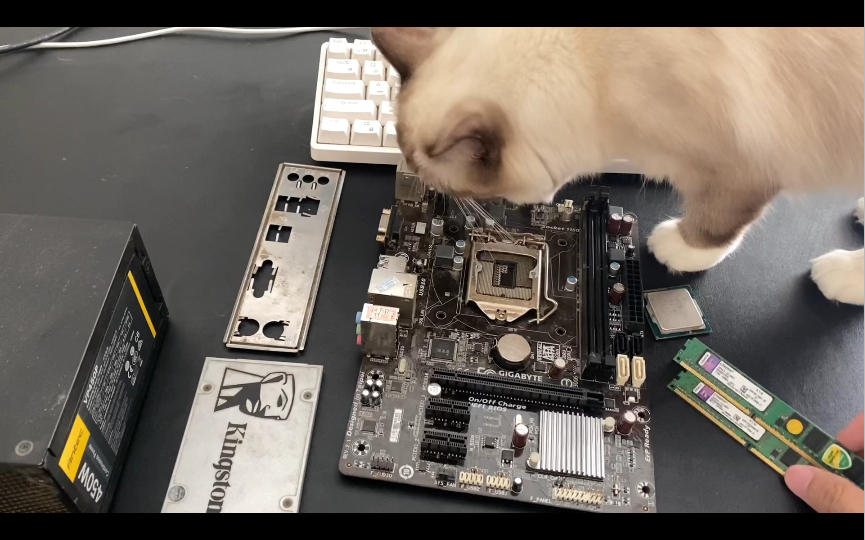 适合自己的才是最好的，12400f和E3-1231v3在你的身上究竟有什么不一样，2022年了还在E3真的过时了吗？你清楚自己需要一台什么样的电脑才最适合吗_哔哩哔哩_bilibili