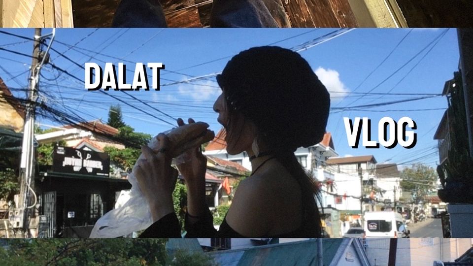 vLoG/ 越南这两天 ⋆.ೃ* 绝不笨笨傻傻-安然Nadia-安然Nadia-哔哩哔哩视频