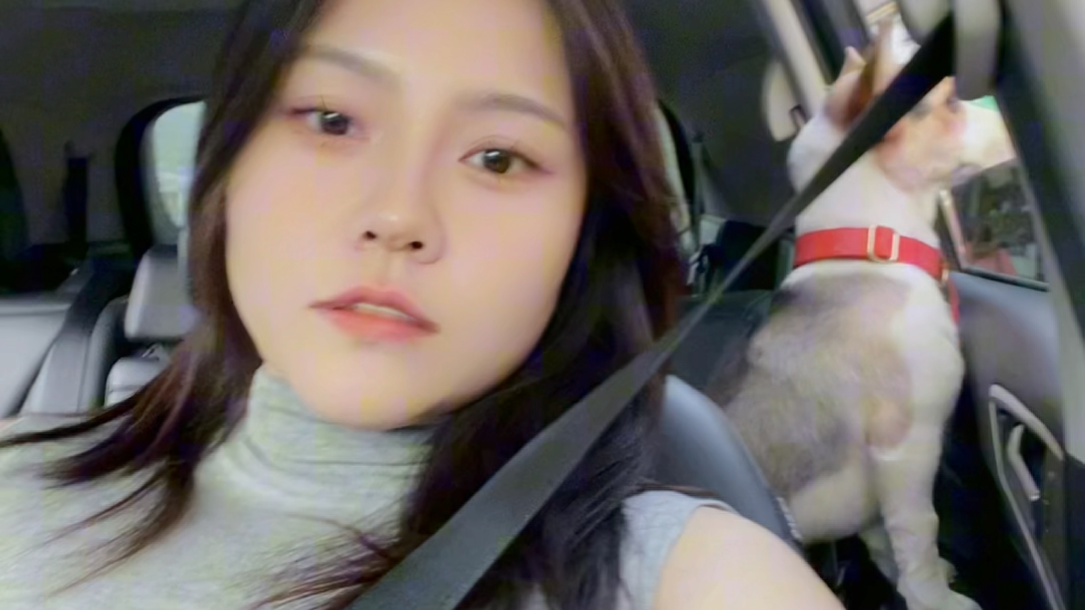 总该有一次说走就走的旅行吧-刘菲特QAQ-刘菲特QAQ-哔哩哔哩视频