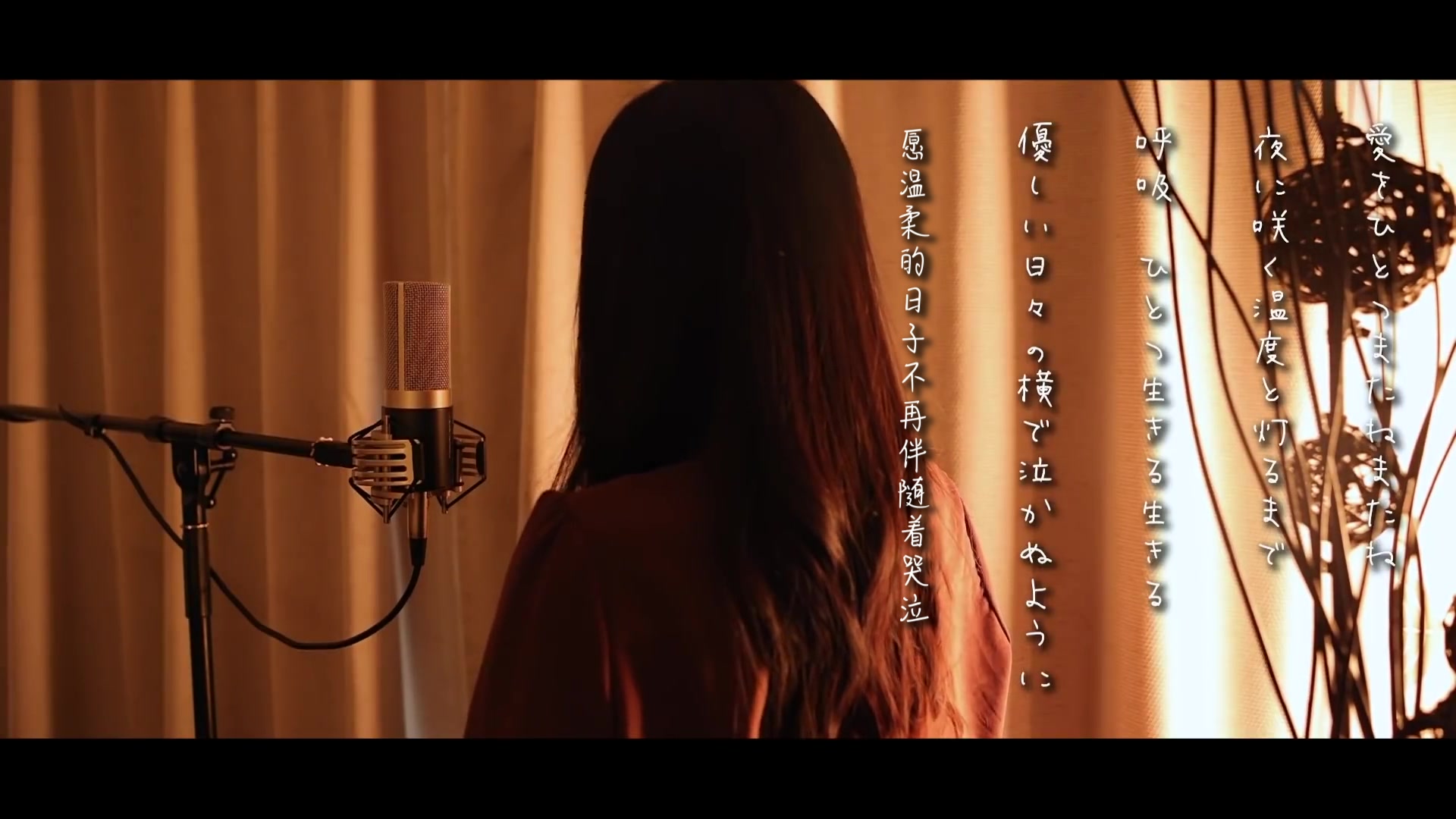 【中文字幕】【MV】大人禁猟区／HoneyWorks feat. Hanon×Kotoha【オリジナル】