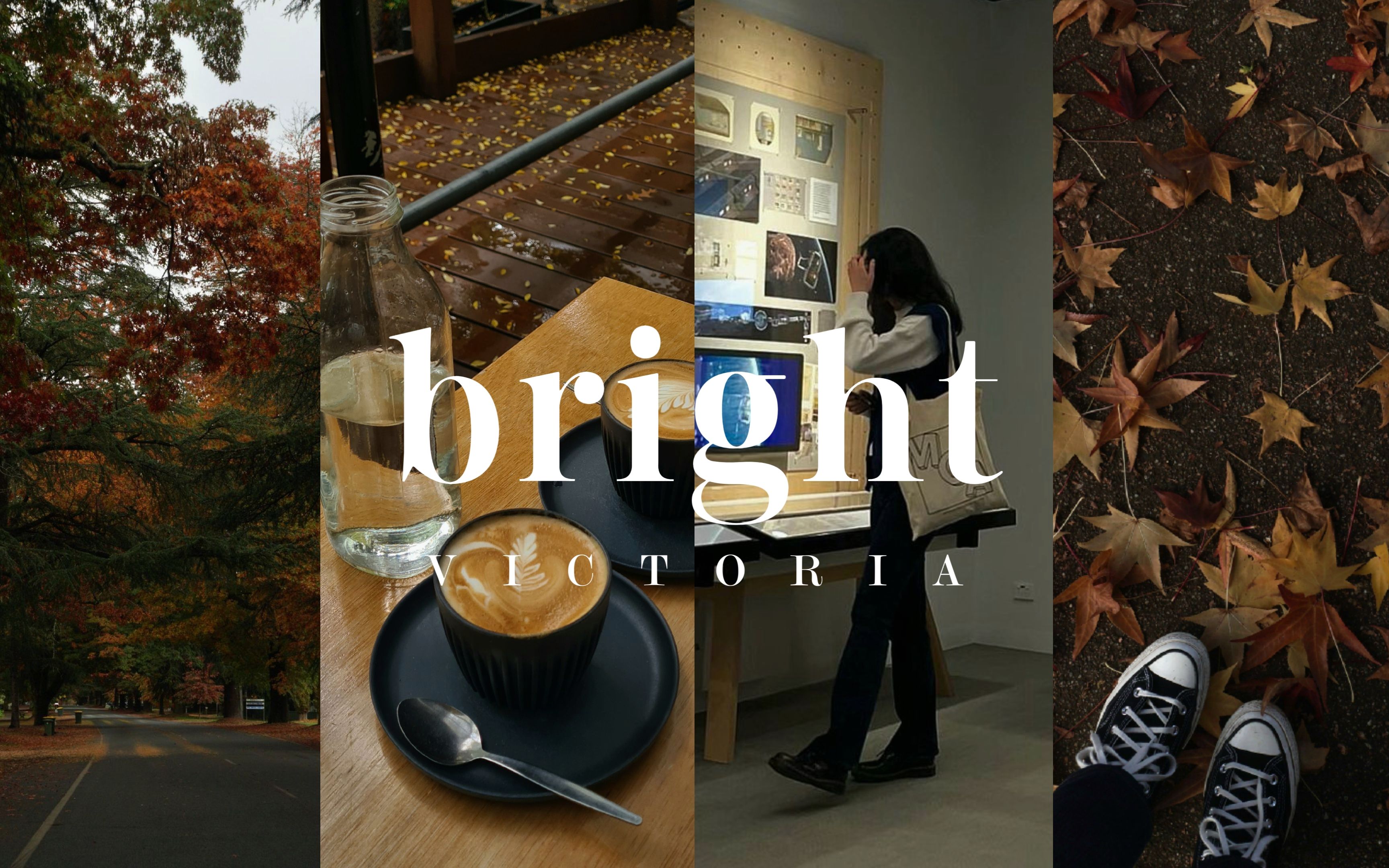 旅行vlog | 深秋的澳洲小镇 | 落叶，热咖啡，面包店，新买的书 | 墨尔本周边-itsmatea-itsmatea-哔哩哔哩视频