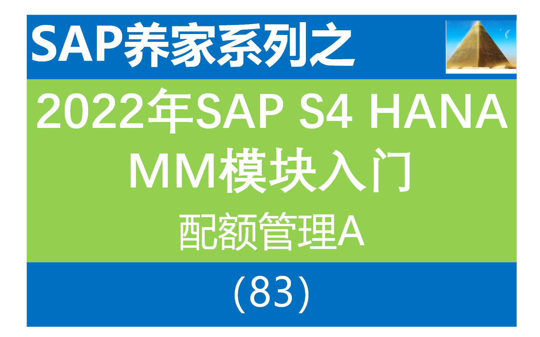 2022年s4 Hana Mm 83配额01 Sap S4 Hana Mm Sap S4 Hana Fico Sap S4 Hana Abap