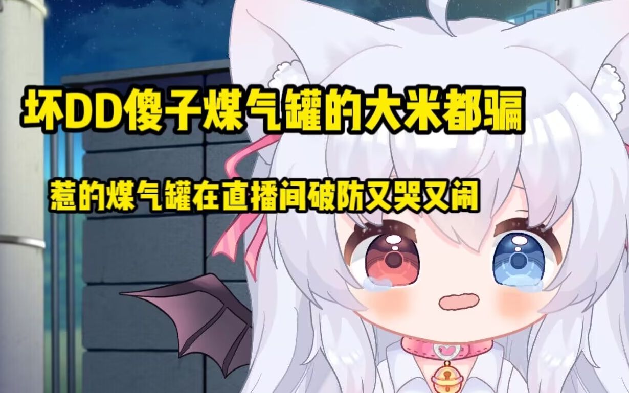 坏DD傻子煤气罐的大米都骗，惹得煤气罐在直播间破防又哭又闹-夏露露Ruru-夏露露Ruru-哔哩哔哩视频