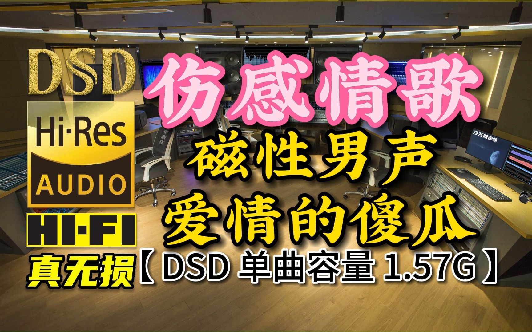磁性男声，伤感情歌《爱情的傻瓜》DSD完整版，单曲容量1.57G【真正DSD无损HIFI音乐，百万调音师独家制作】-车音乐_百万调音师-车音乐_百万调音师-哔哩哔哩视频