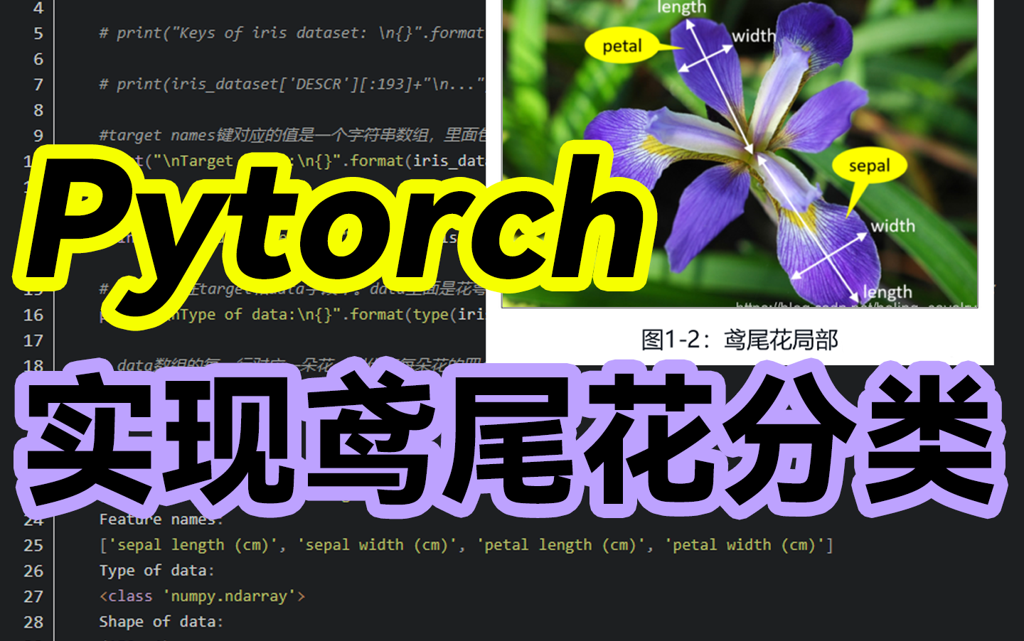 火遍kaggle!基于pytorch框架の【鸢尾花分类实战】附数据集,原理详解 项目实战,机器学习新手必备! 吴恩达机器学习 吴恩达机器学习 哔哩哔哩视频