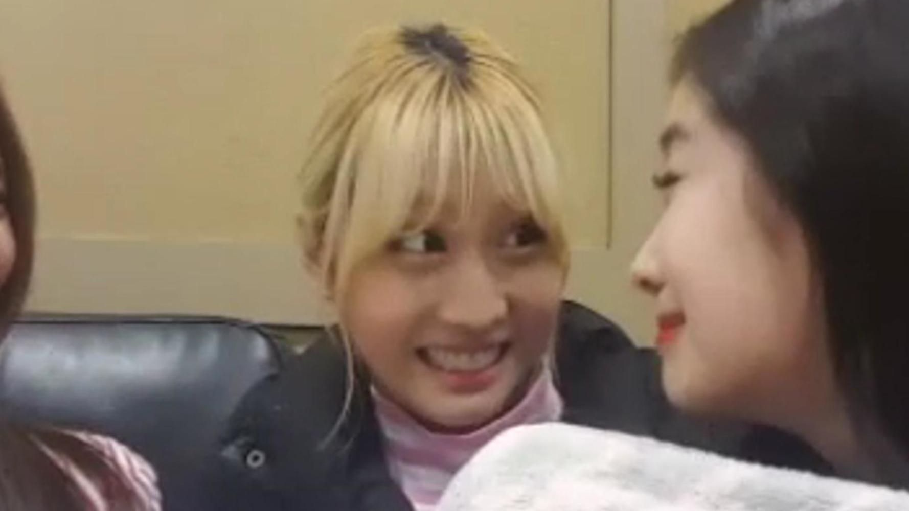 momo：我是比较清纯的类型-爱看元气美女-爱看元气美女-哔哩哔哩视频