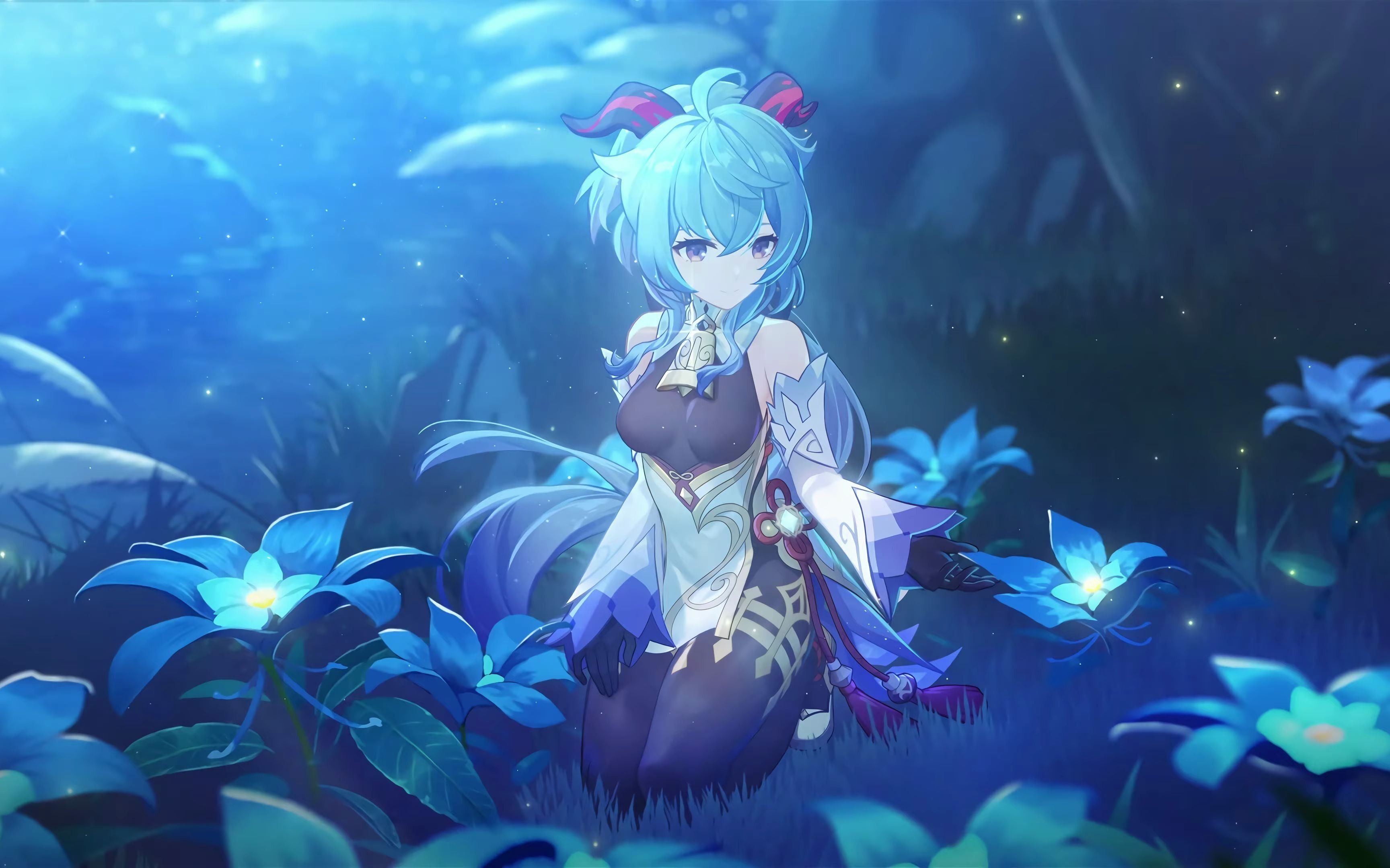  4k PV bilibili