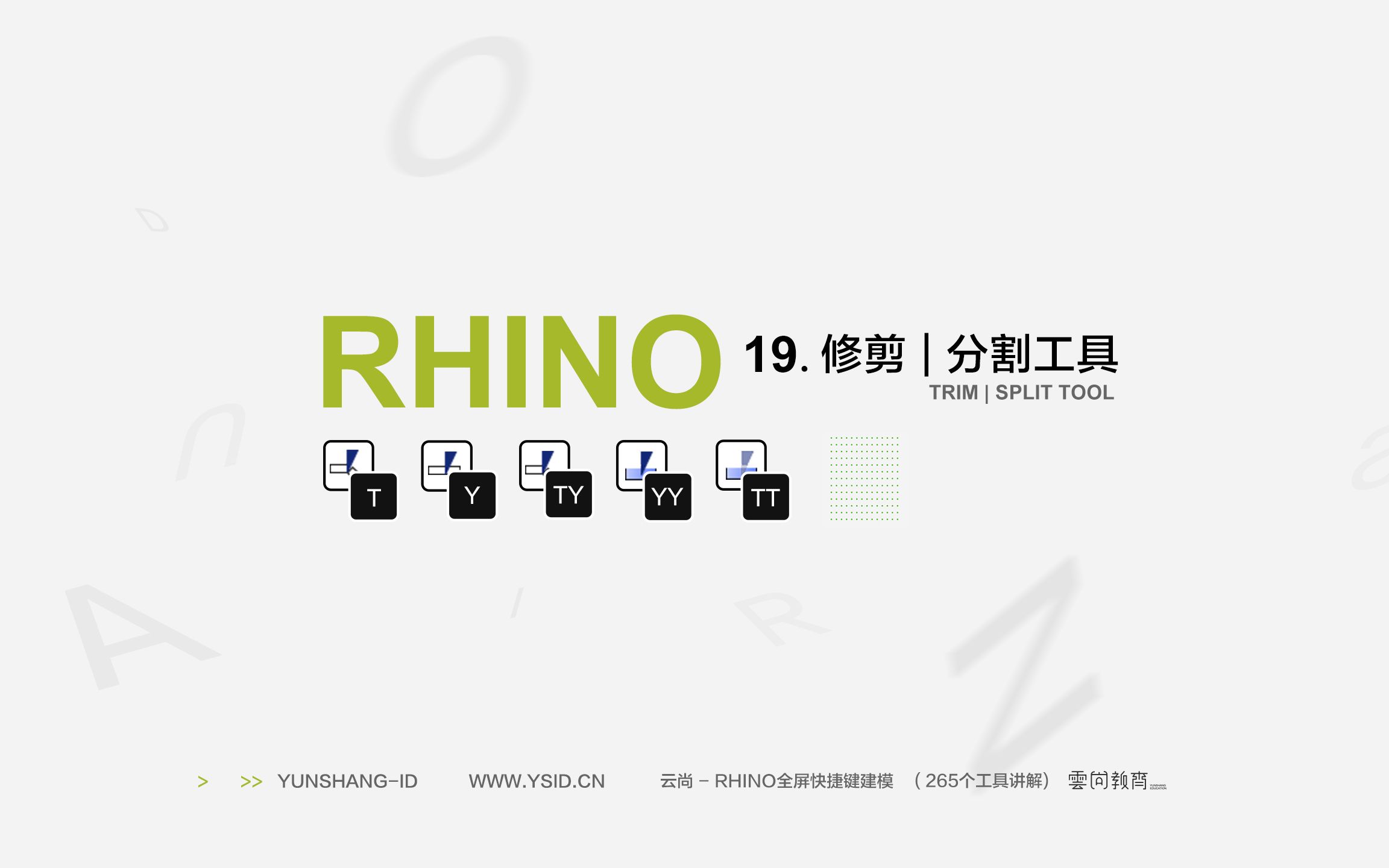 19 Rhino 