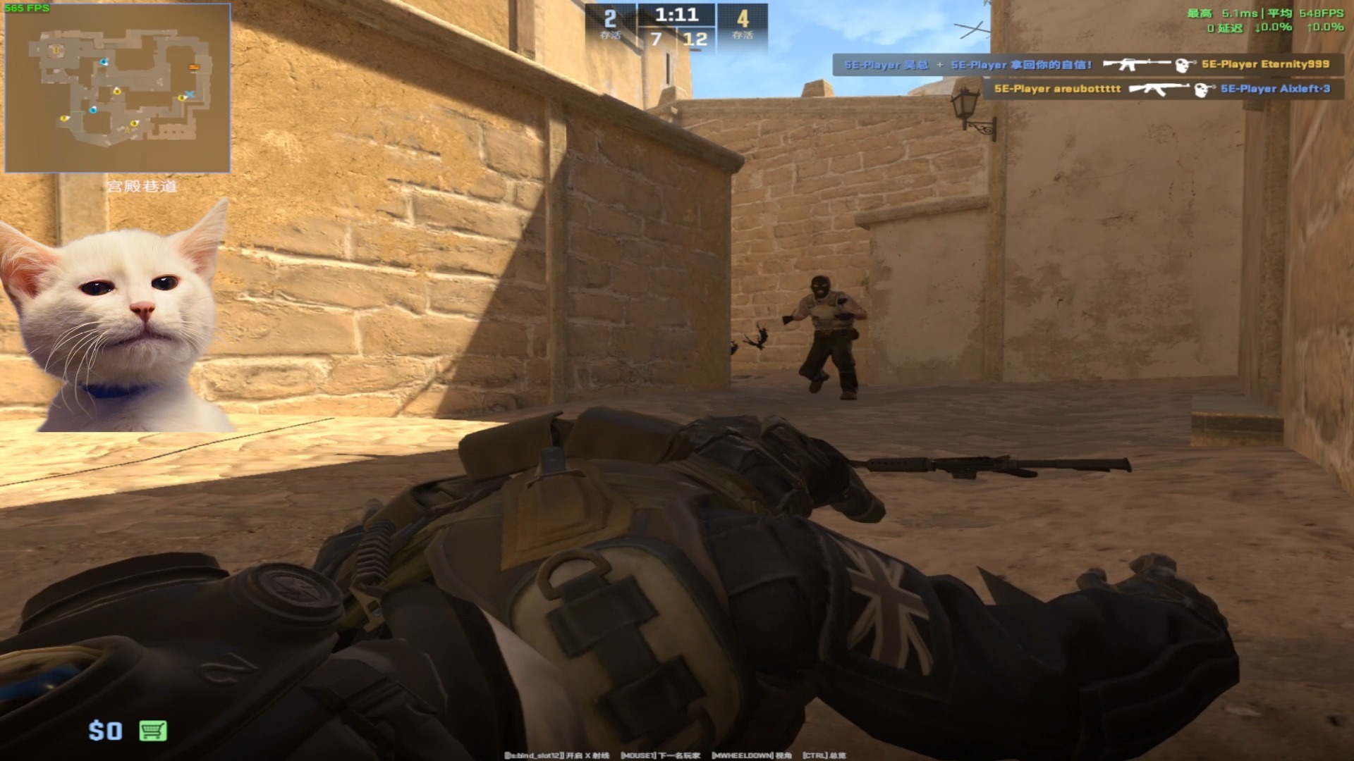 没有枪法-Anyingi_Csgo-Anyingi_Csgo-哔哩哔哩视频