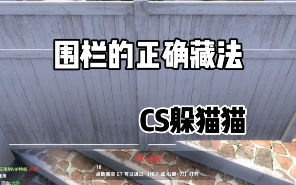 CSGO躲猫猫：直接改变游戏地形-禹辰OvO-禹辰OvO-哔哩哔哩视频