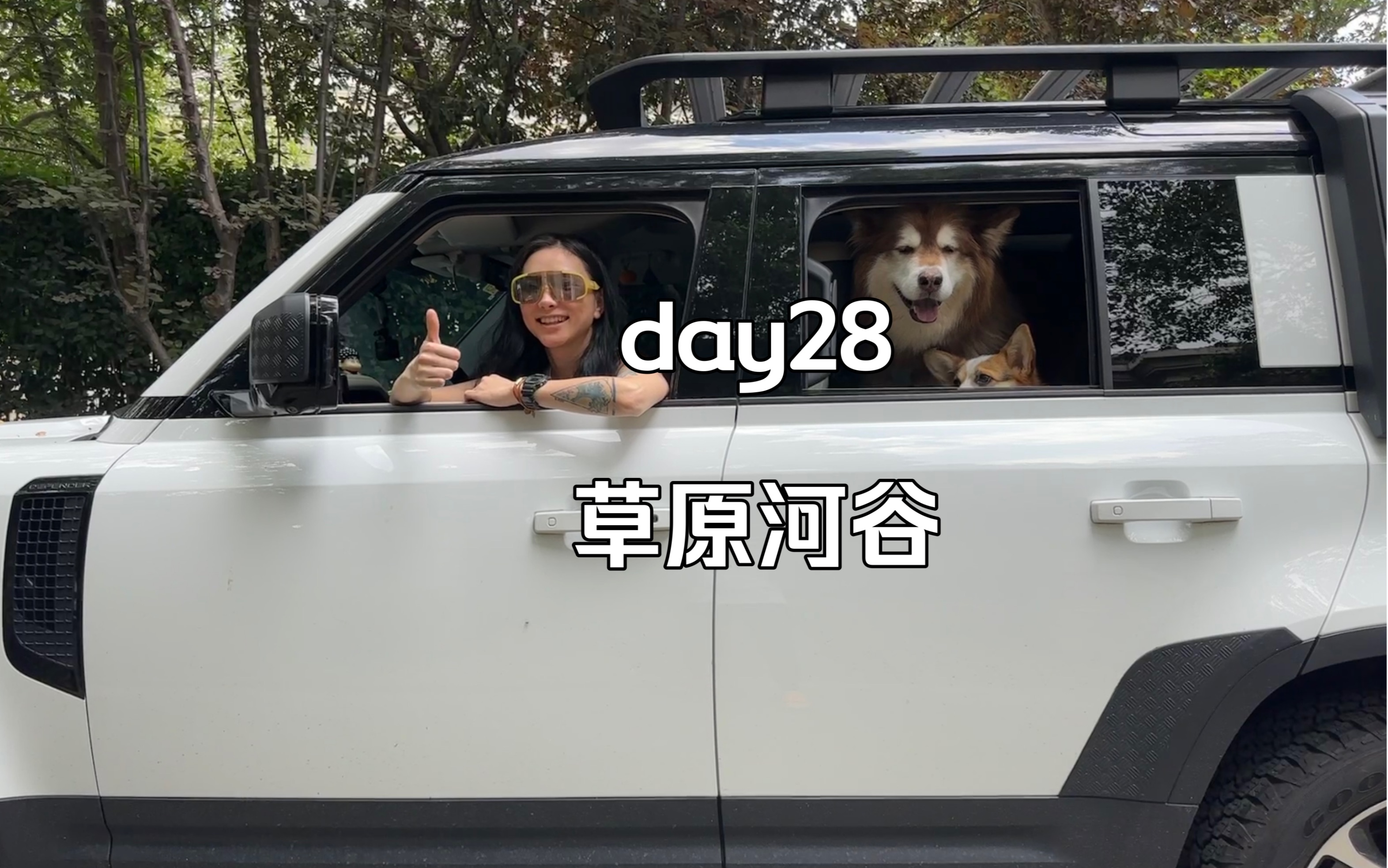 DAY28草原河谷-AG姐姐和小狗们-AG姐姐和小狗们-哔哩哔哩视频