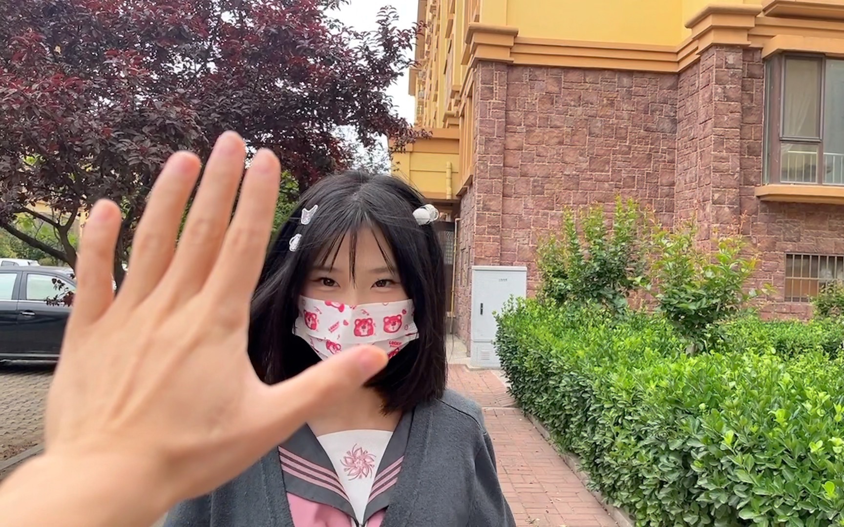 虽然房子烂尾了,但生活还得继续呀!! 张十七历险记 张十七历险记 哔哩哔哩视频