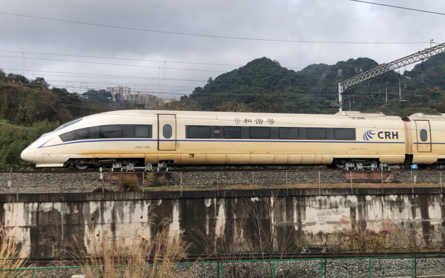 成局脏兔子G2883成都东-昆明南（CRH3C-3022）减速进重庆西站 9:58 20220129_哔哩哔哩_bilibili