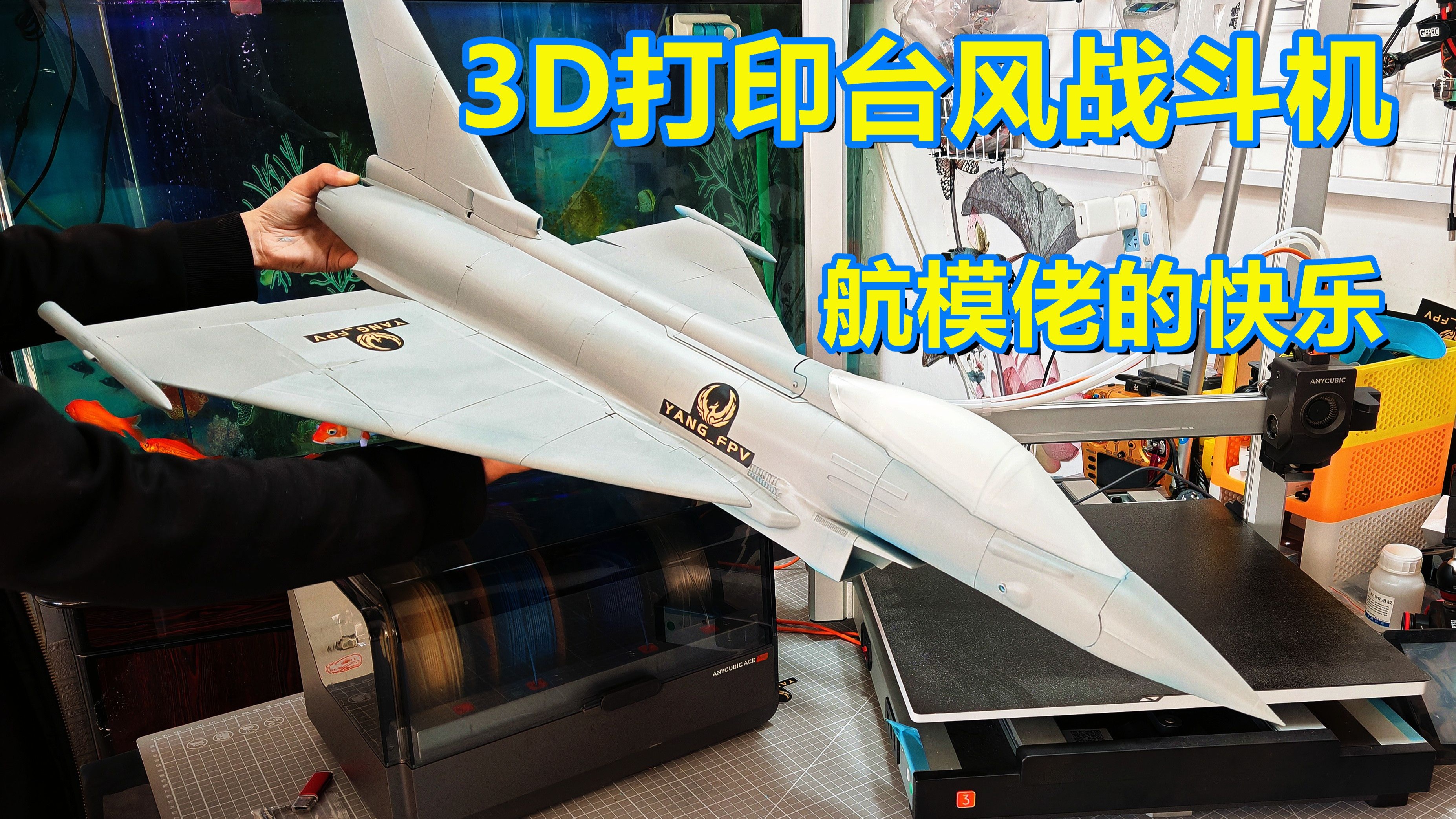 哪个航模佬经得起这种诱惑？3D打印大飞机台风EF2000！-Yang_FPV-Yang_FPV-哔哩哔哩视频