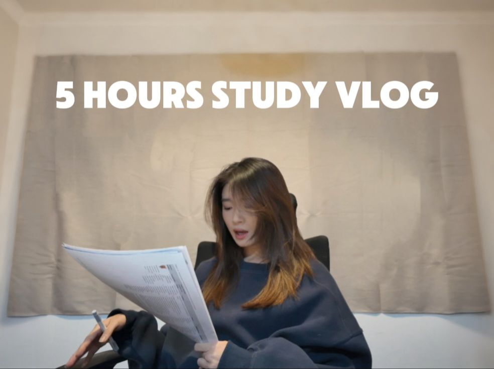 study vlog|学习5h+*和朋友一起越学越开心！-栗子多加辣-栗子多加辣-哔哩哔哩视频
