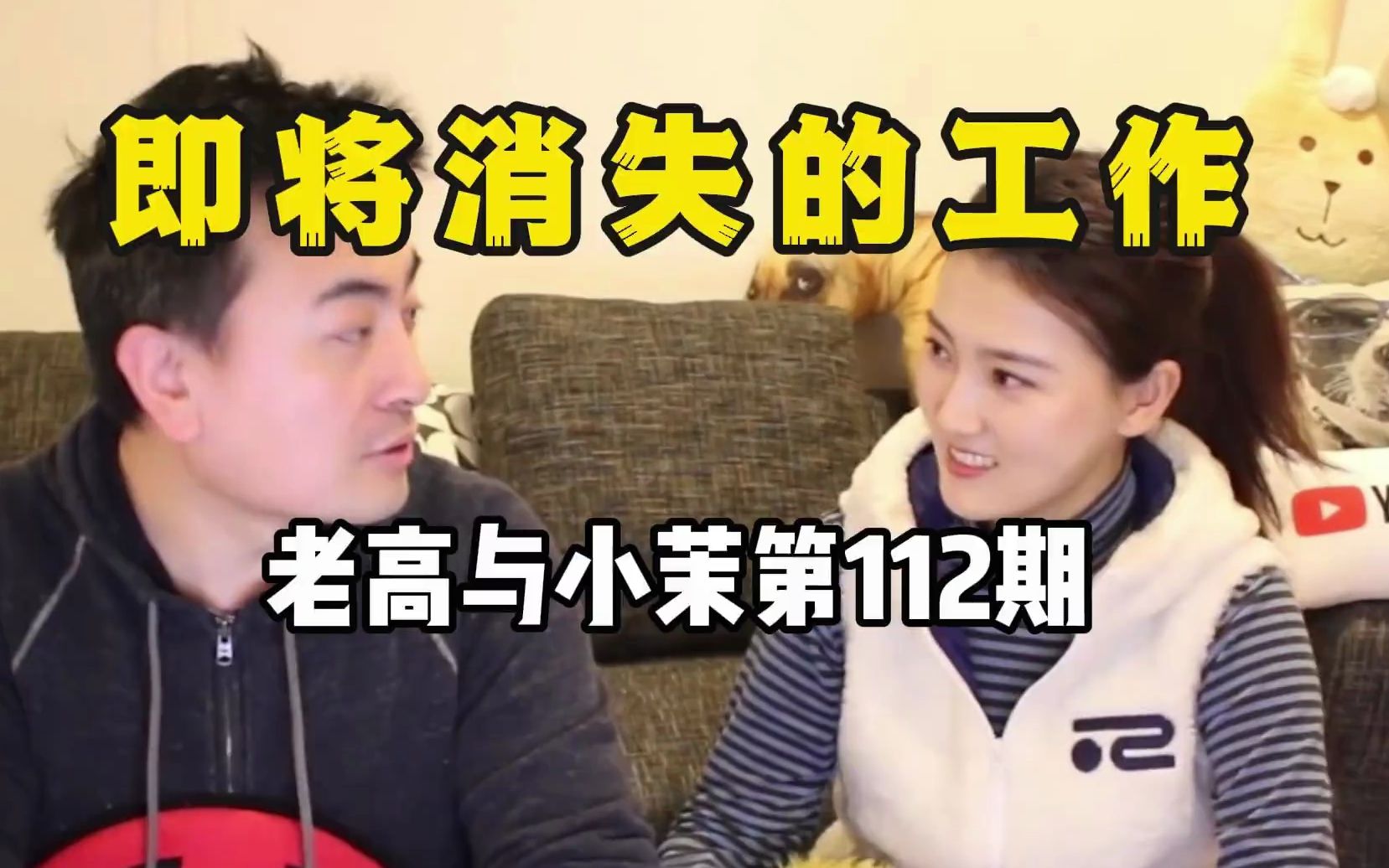 【老高与小茉第112期】有哪些十年内会消失的工作，如果你在这些行业请尽快转行-老高与小茉MrGao-老高与小茉MrGao-哔哩哔哩视频