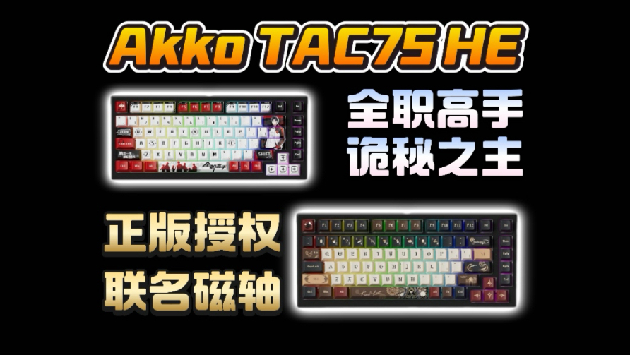 原著粉狂喜！全职高手&诡秘之主联名磁轴Akko TAC75 HE体验分享-怕黑的胶泥J-怕黑的胶泥J-哔哩哔哩视频