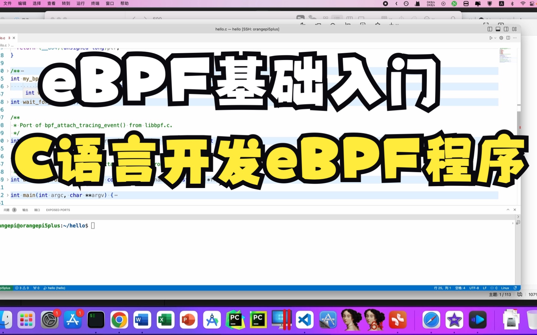 02-13-C语言开发eBPF程序-bilibili(B站)无水印视频解析——6li6在线工具箱