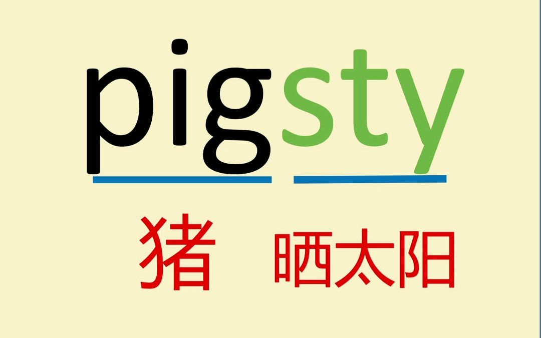 pigsty，这个单词形象了-联想记单词-联想记单词-哔哩哔哩视频