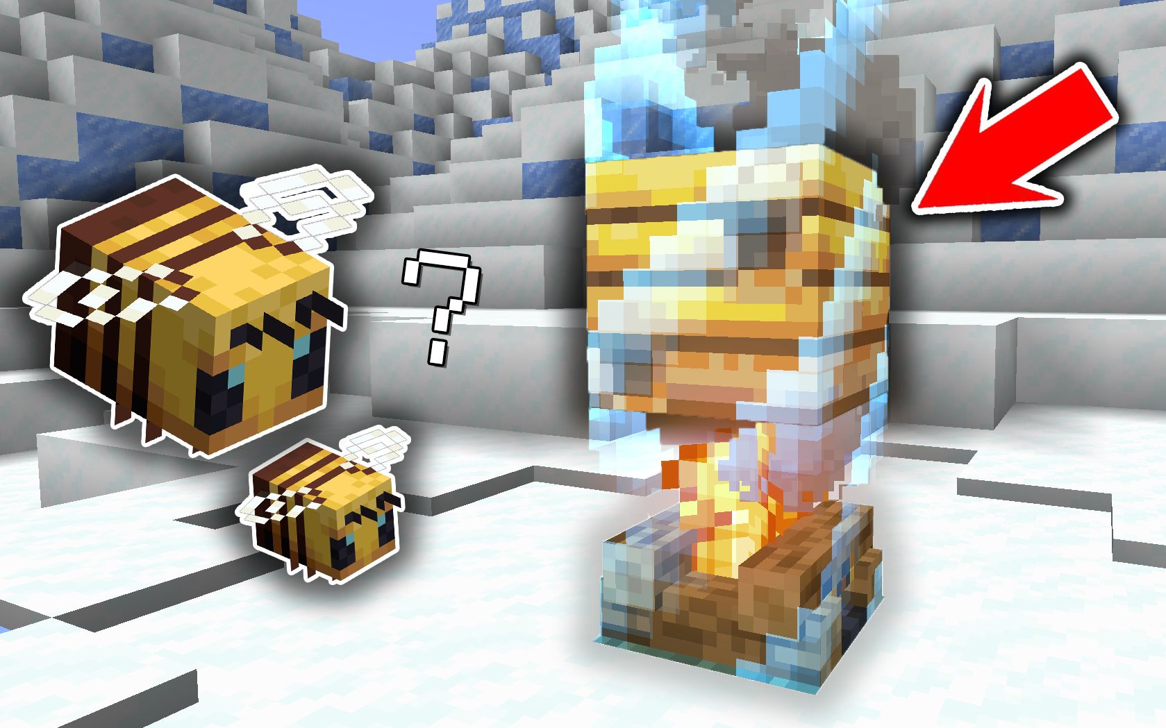 今天我们吃，烤蜜蜂！-纪夫Junly-纪夫Junly-哔哩哔哩视频