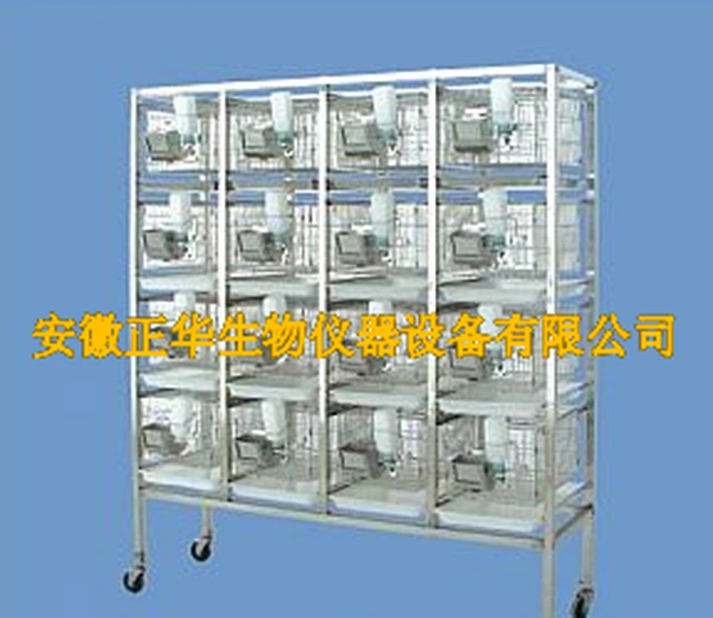 段新型大鼠代谢笼新型小鼠代谢笼 哔哩哔哩