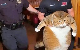 《明日方舟》EP - Settle Into Ash-QAQ上官影心-明日方舟音乐-哔哩哔哩视频