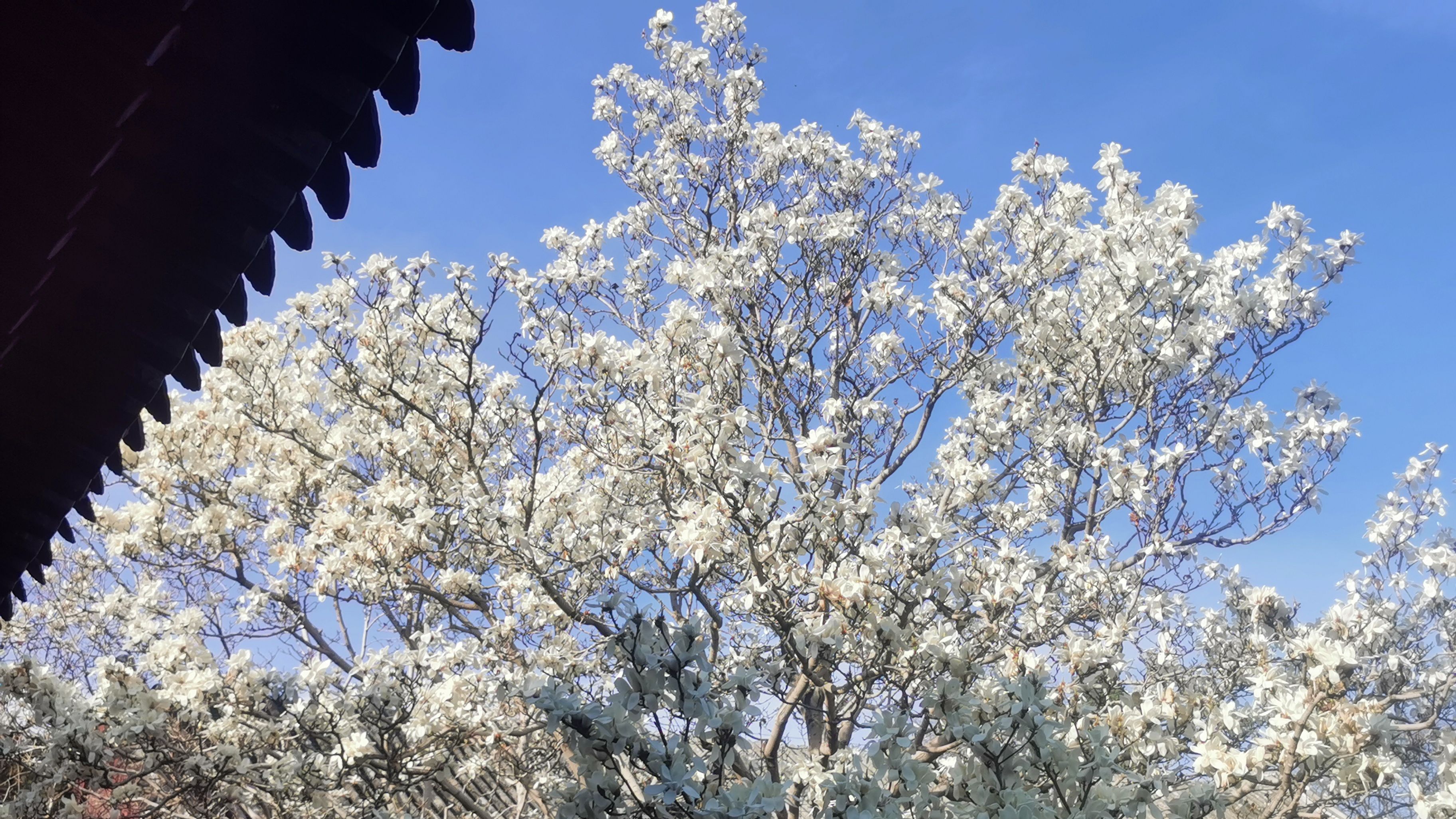 【4K60帧】GEM邓紫棋《再见》-candota-音乐-哔哩哔哩视频