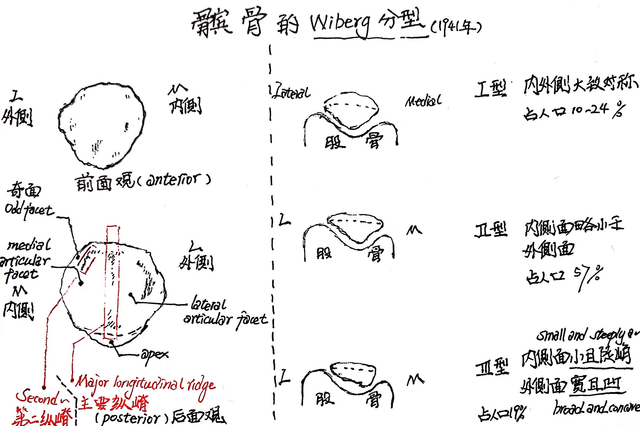 哔哩哔哩相簿，绘你所想，拍你所爱
