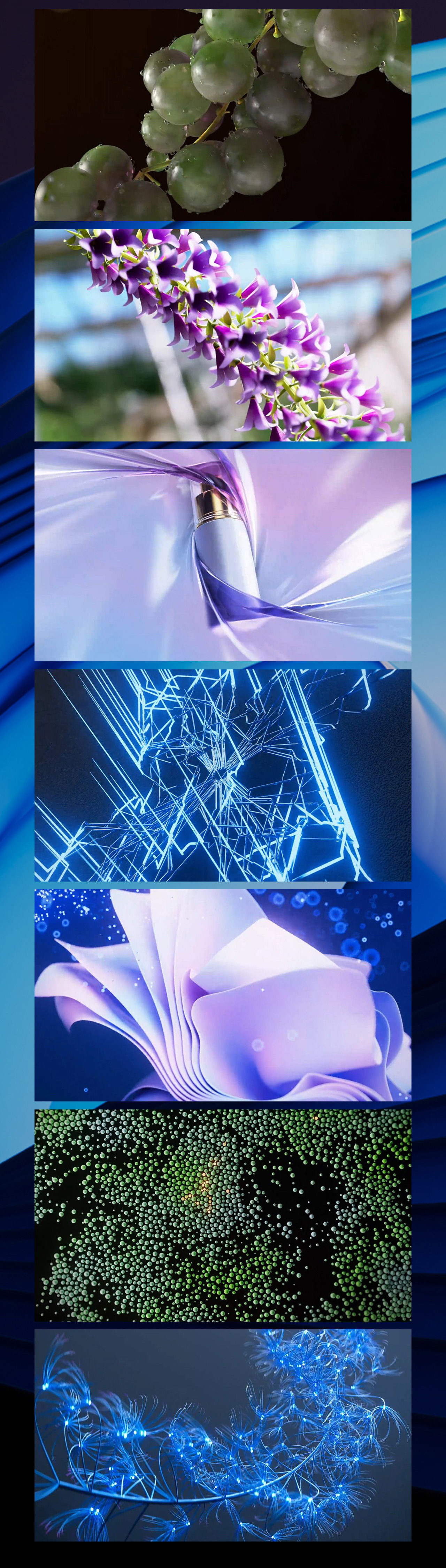 C4D动效案例【2024】_哔哩哔哩_bilibili