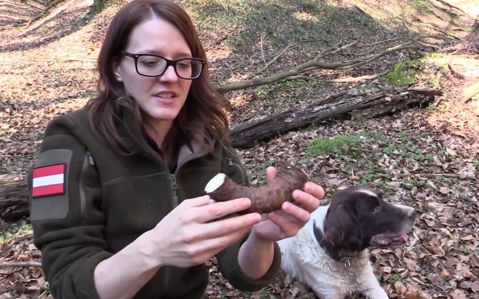 [Survival Lilly]120 如何制作生物降解皂_哔哩哔哩_bilibili