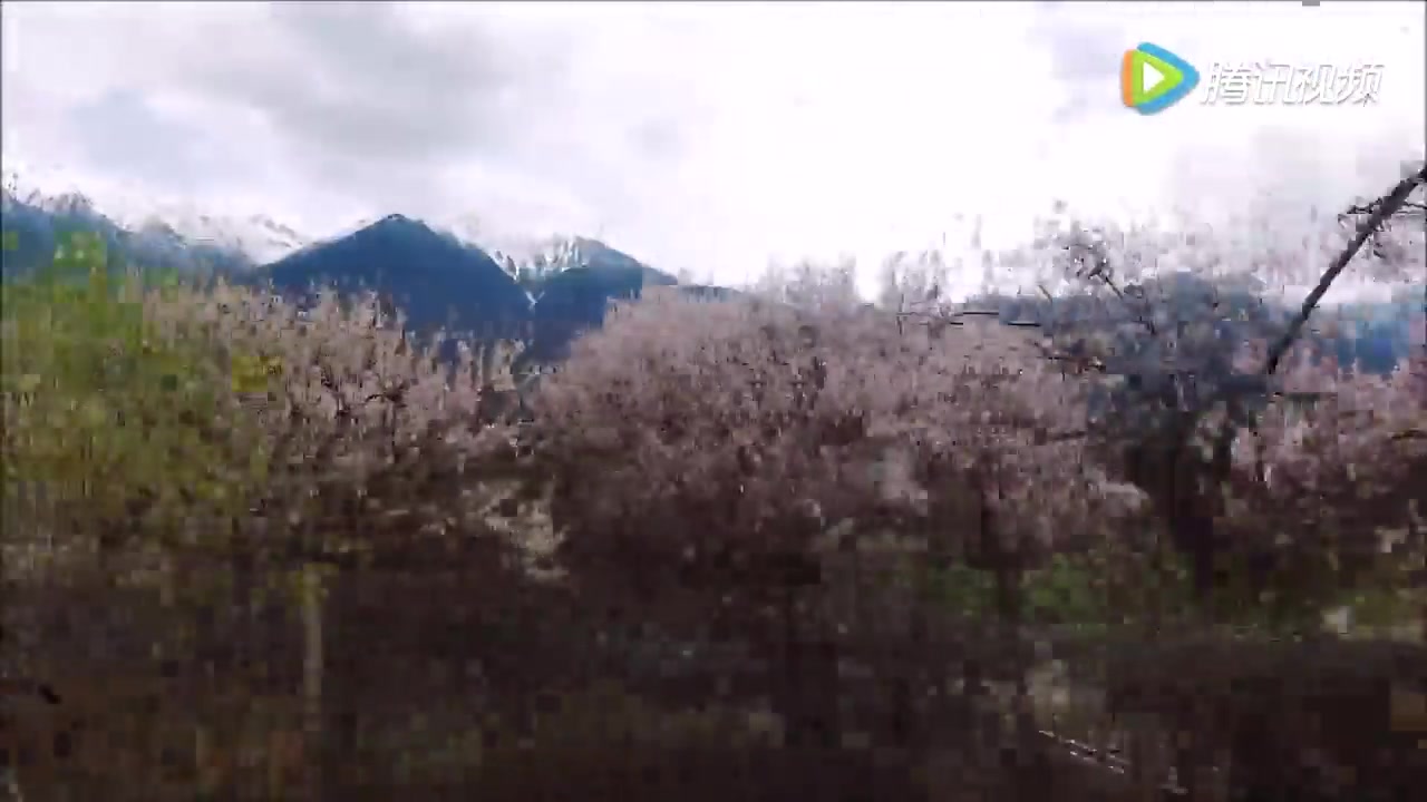 Linzhi spring with the first expressway in Tibet 林芝春天与西藏第一条高速公路_哔哩哔哩 ...