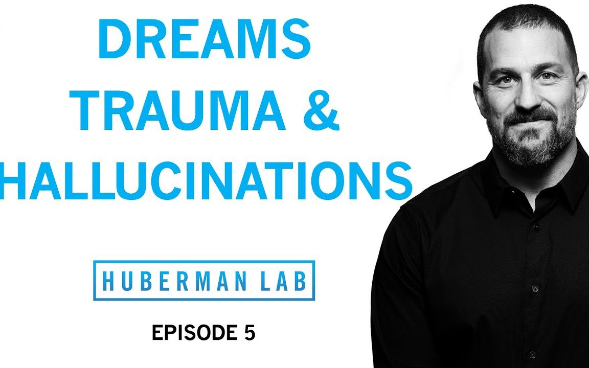 利用梦境来学习和遗忘【Huberman Lab Ep.5】 - 哔哩哔哩