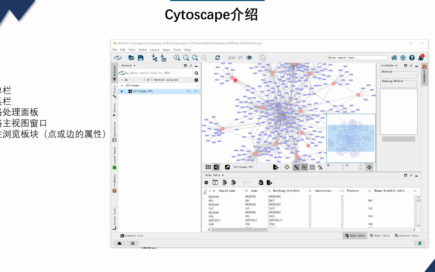 本期我们讲解如何使用STRING网站构建PPI网络图~觉得视频不错多多支持一下哦~