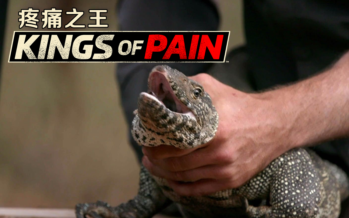疼痛之王预告2-纪录片-全集-高清独家在线观看-bilibili-哔哩哔哩