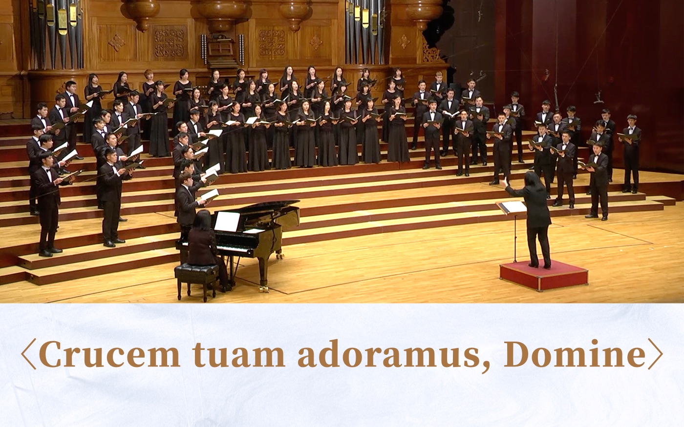 Crucem tuam adoramus, Domine (Paweł Łukaszewski) - 台大合唱团-台大合唱團-台大合唱團-哔哩哔哩视频