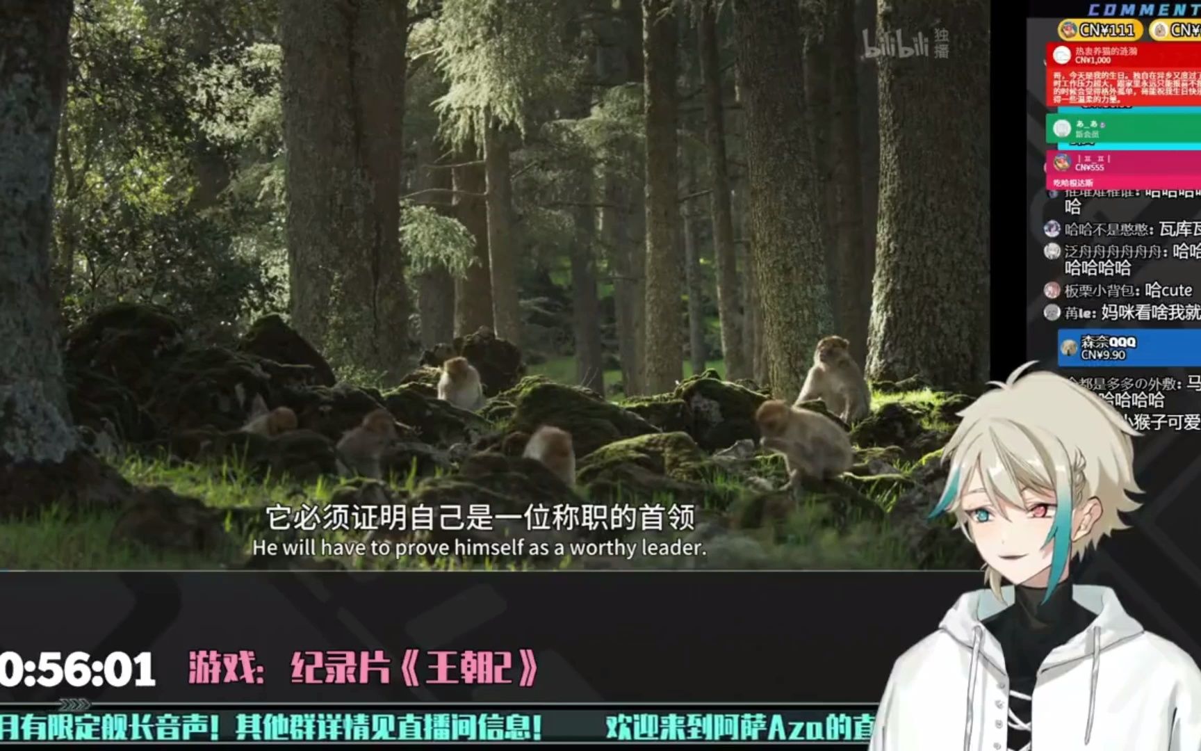 【阿萨Aza】“那肯定是我辣”"你们也太好勾引了吧! "_哔哩哔哩_bilibili